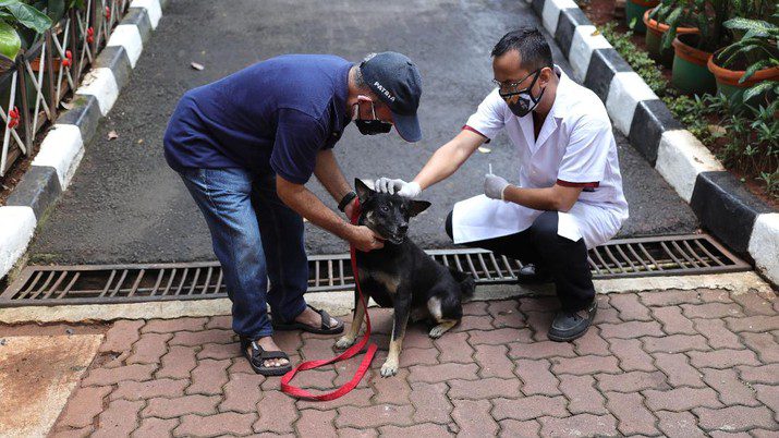 Awas Rabies, Ini Pertolongan Pertama usai Digigit Anjing - warta 21